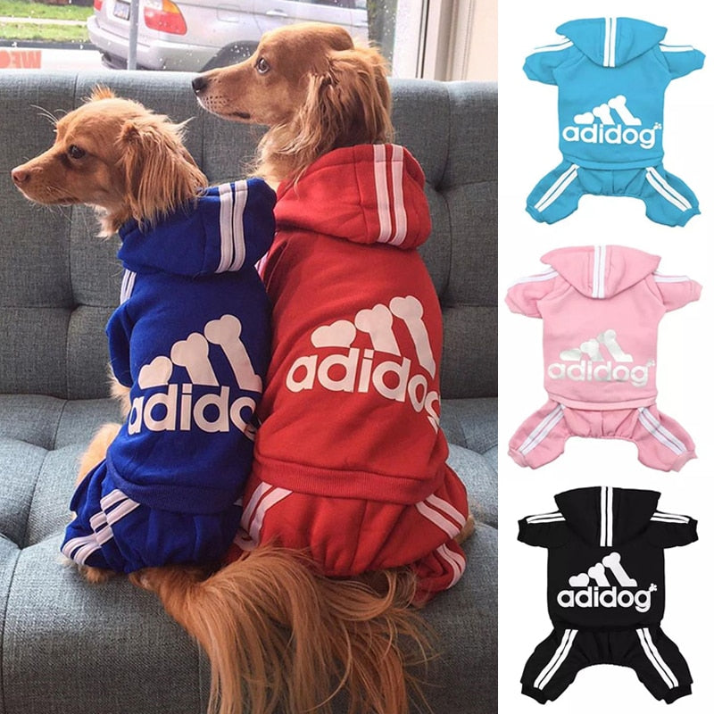 Conjunto Moletom Adidog para pet – Moda Cor | Aqui Você Encontra ...